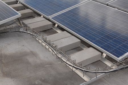 Solar Snake Tray | EC&M