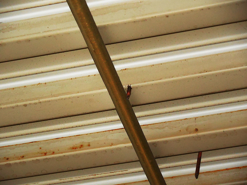 What’s Wrong Here? Hint: Near Screw Up (or Down in this Case) | EC&M