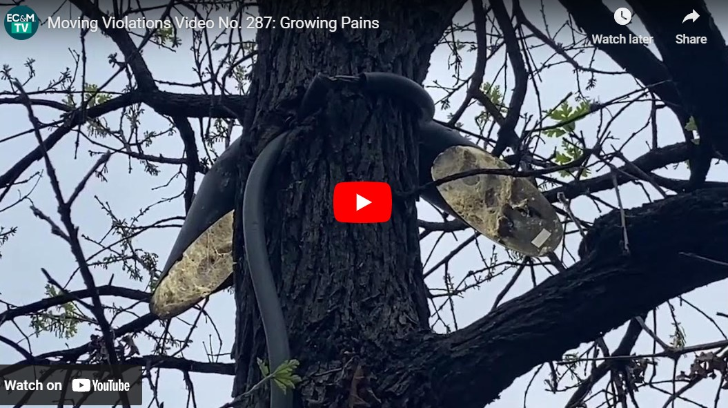 Code Quiz Switchboard Wiring Requirements Ec M