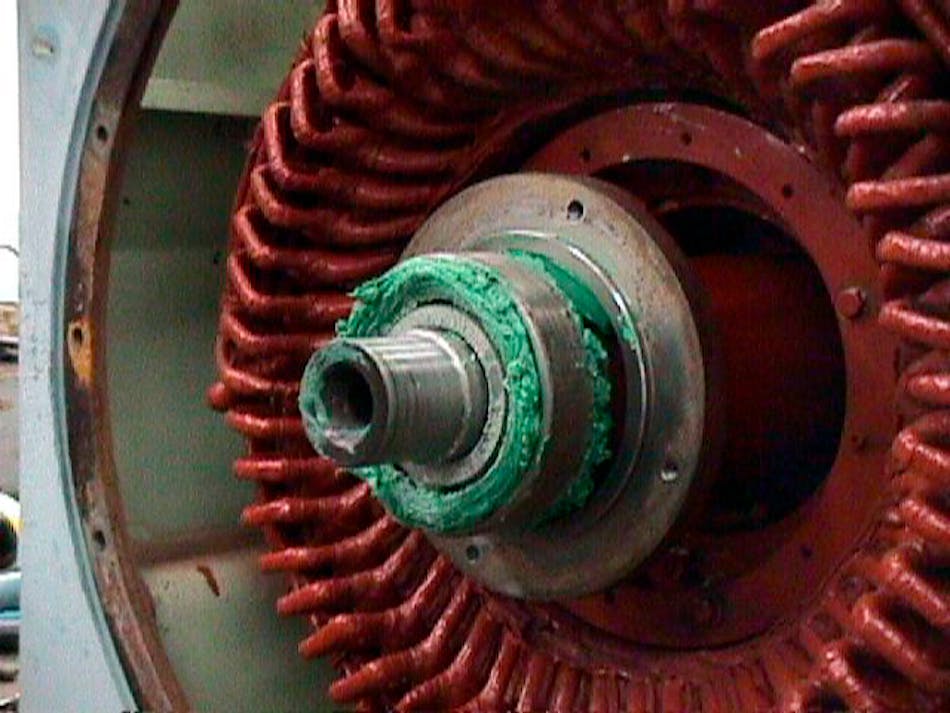 Best Practices for Electric Motor Bearing Relubrication | EC&M