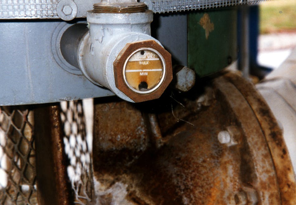 Best Practices for Electric Motor Bearing Relubrication | EC&M