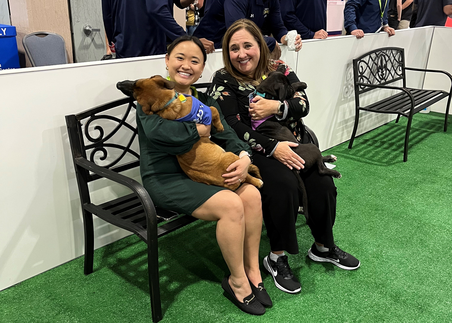 Taking a Pause for Paws & Claws | EC&M